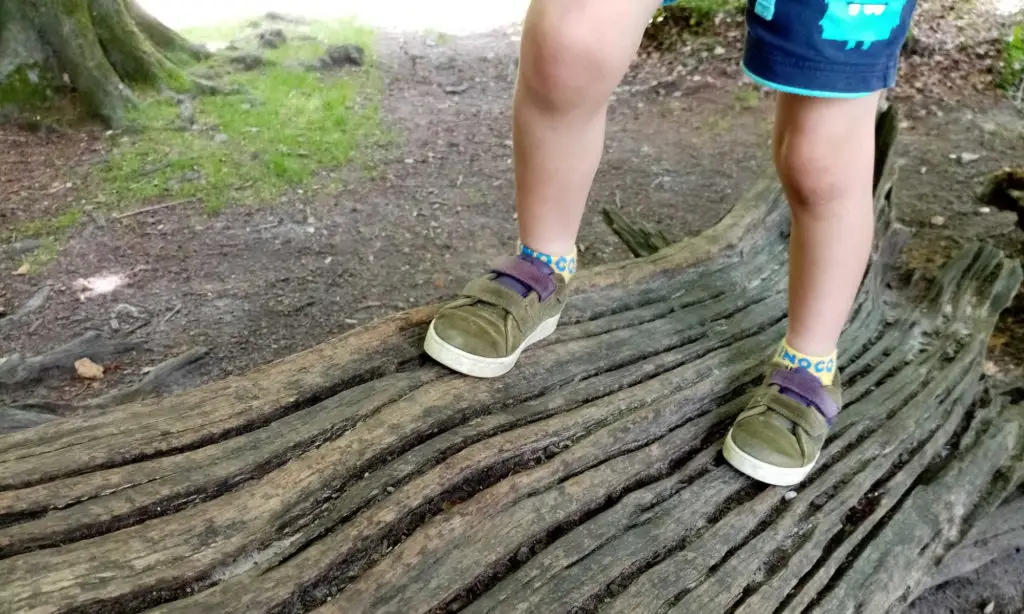 How to create a Forest School Portfolio - The Practical Forest School