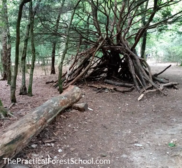 15 Easy Autumn Forest School Activities