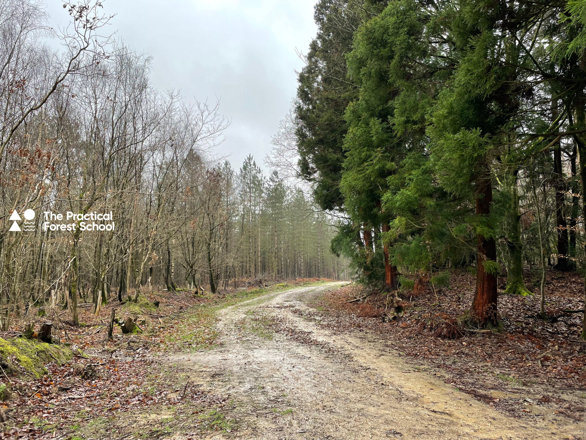 15 Easy Autumn Forest School Activities