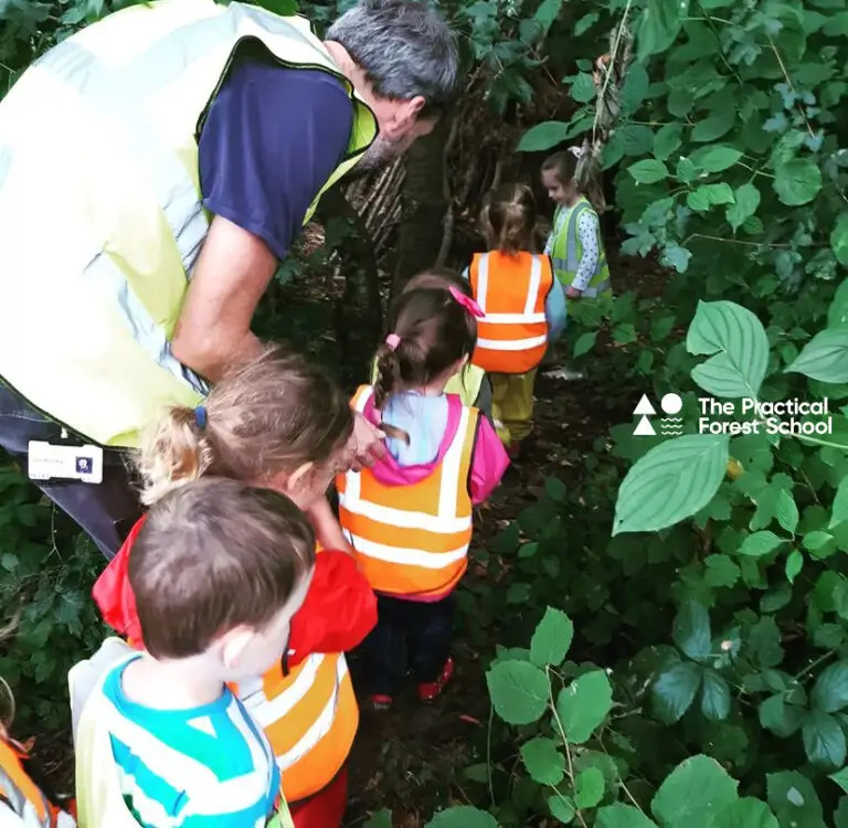 Learning and Development at a Forest School Programme