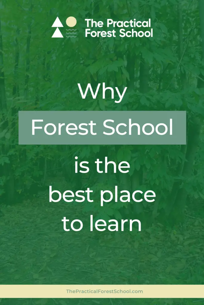Why Forest Schools are the Best Place for Kids to Learn