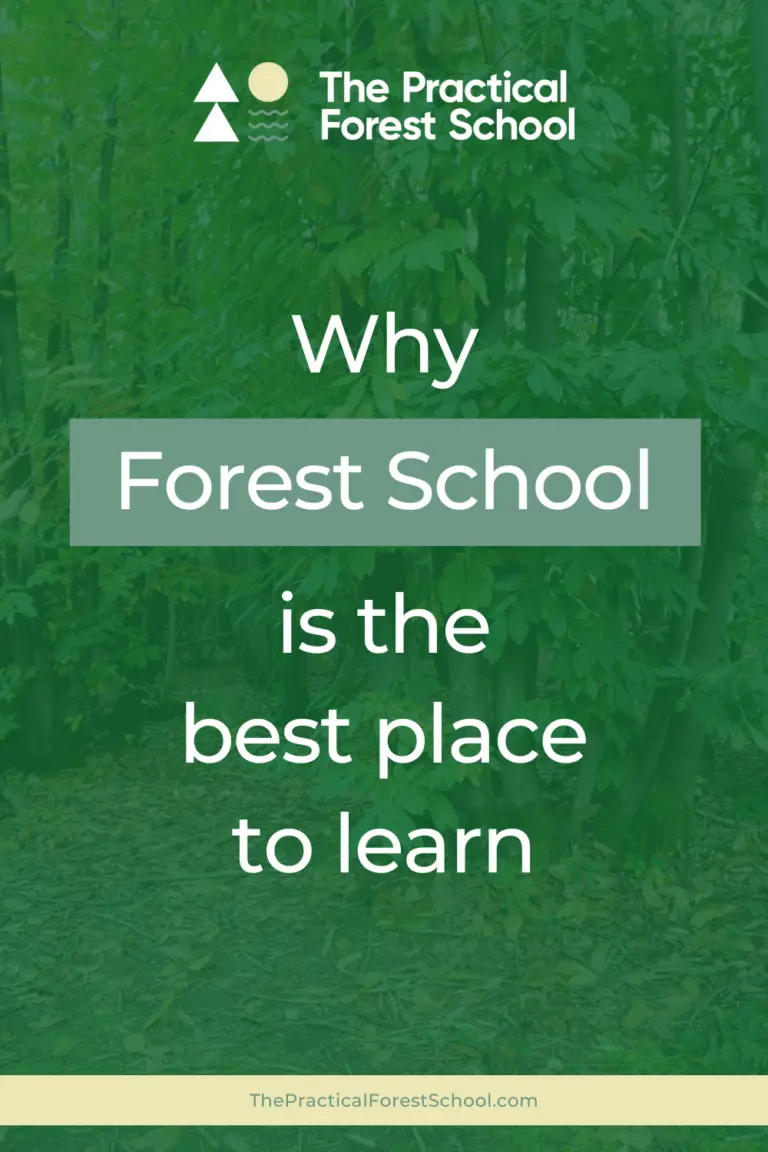 Why Forest Schools are the Best Place for Kids to Learn