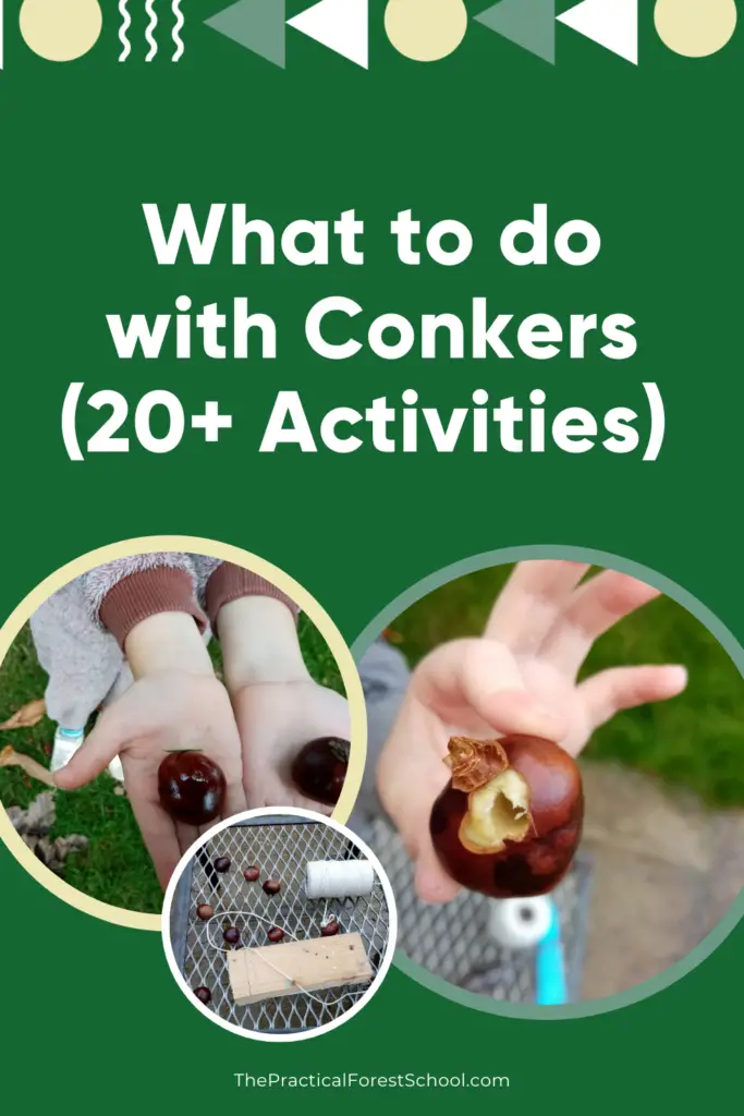 20+ Fun and Exciting Activities To Do With Conkers