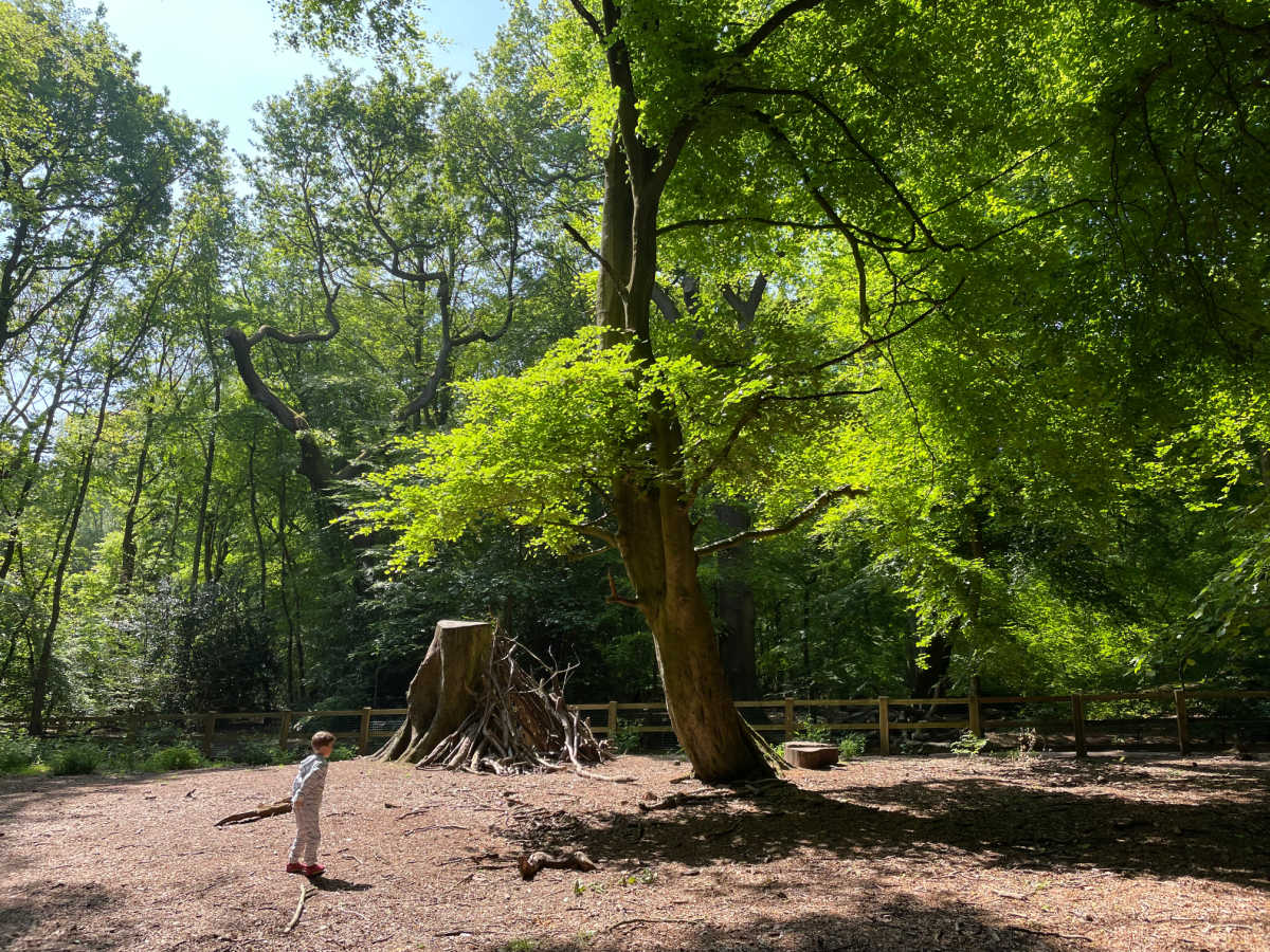 Exploring Different Types of Shelter for Forest School